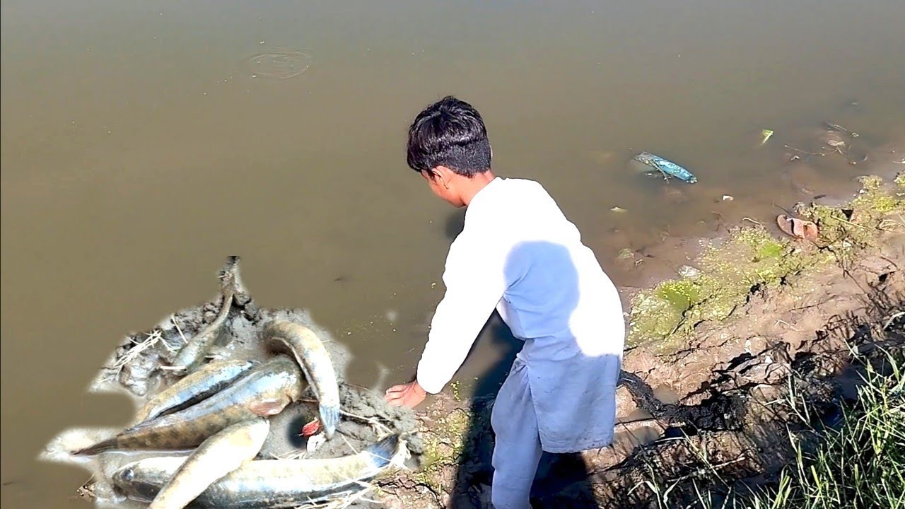 Fishing Video || Village Catching Fish - YouTube