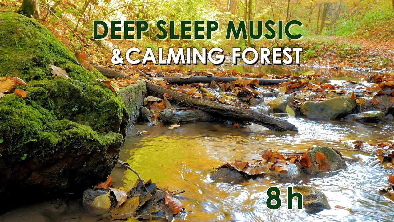 8 hours Deep Sleep Music: Autumn Forest with Relaxing Sounds and ...