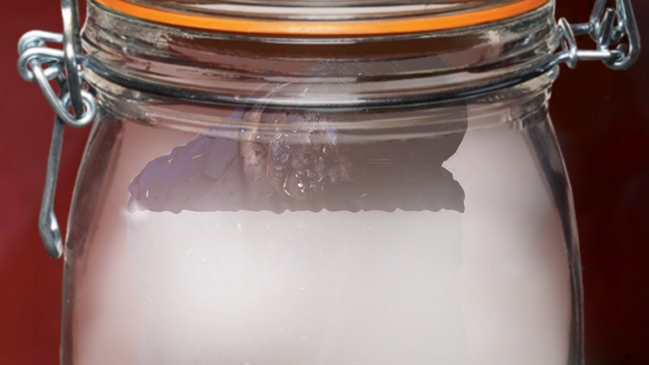 The Forbidden Cum Jar - YouTube