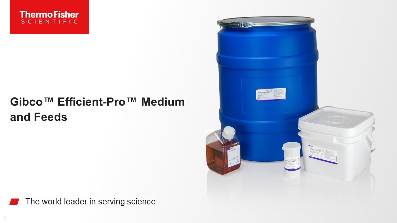 Efficient Pro medium and feeds 0224 - YouTube