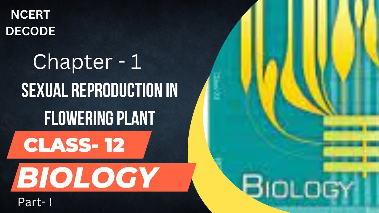 Sexual Reproduction In Flowering Plant Chapter- 1 Part- I Biology ...