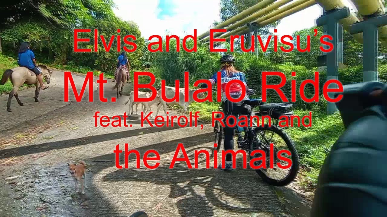 Elvis and Eruvisu's Mt Bulalo Ride feat. Keirolf Roann and the Animals ...