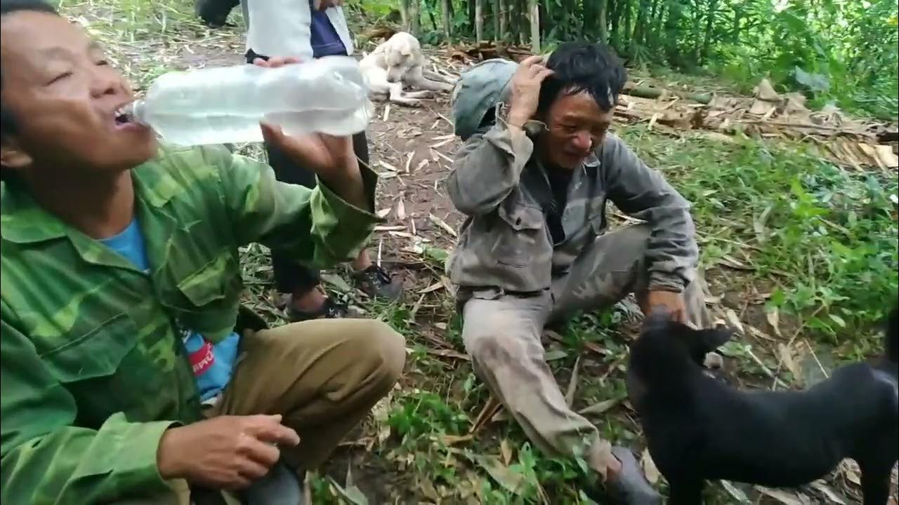 hnub no rov qab mus caum npua teb dua - YouTube