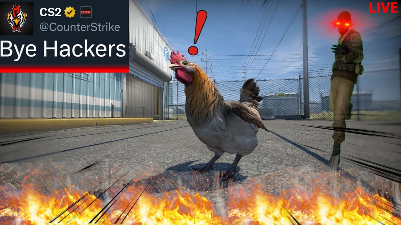 BYE BYE HACKERS LIVE STREAM ??? [ CS2 LIVE ] - YouTube
