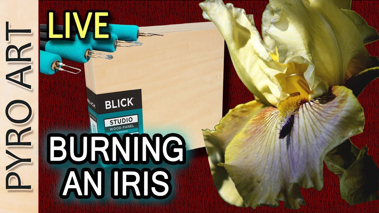 Pyrography: LIVE Wood Burning an Iris & Talking about my must have Pyro ...