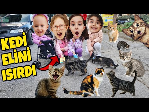 BAHARIN ELİNİ KEDİ ISIRDI !! KEDİLERİ BESLEDİK !! BAHAR BANU ALYA ASEL MİRA !! 