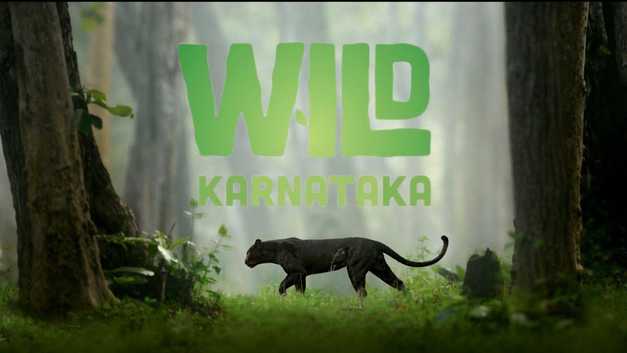 Wild Karnataka - YouTube