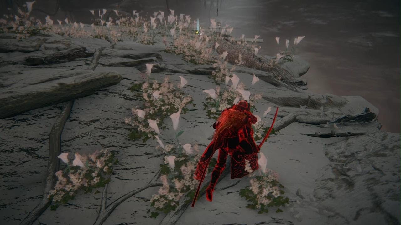 ELDEN RING_Diving in - YouTube