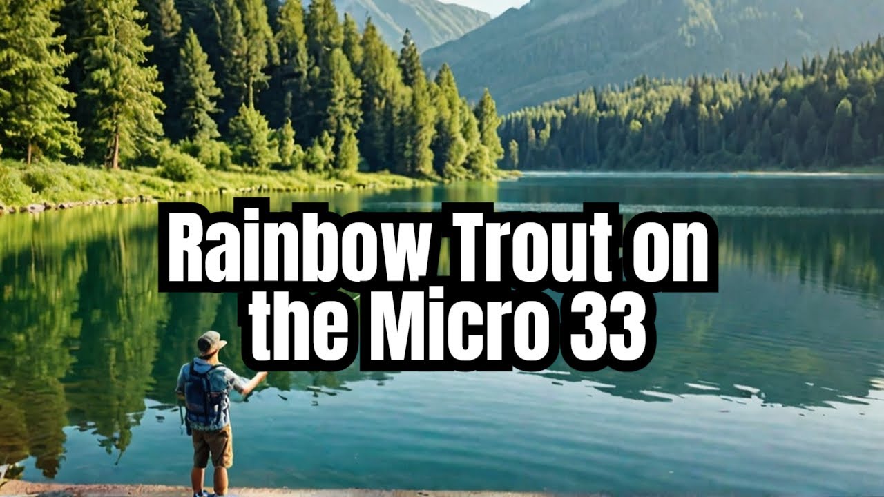 Catching a Rainbow Trout on a Micro 33! The Library Lake Part 2 - YouTube