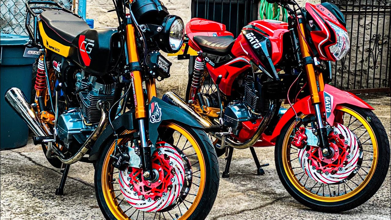 Super Gato CG 300cc 2021 Recién llegado de la República Dominicana 🇩🇴 ...