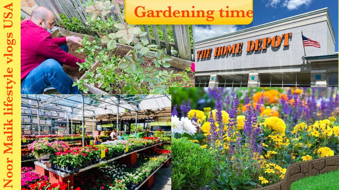 Gardening time 🍃💐🍁🌷🌹🎋🍃🌾🥀🎍🌴🌳🌲🎄🌻 - YouTube