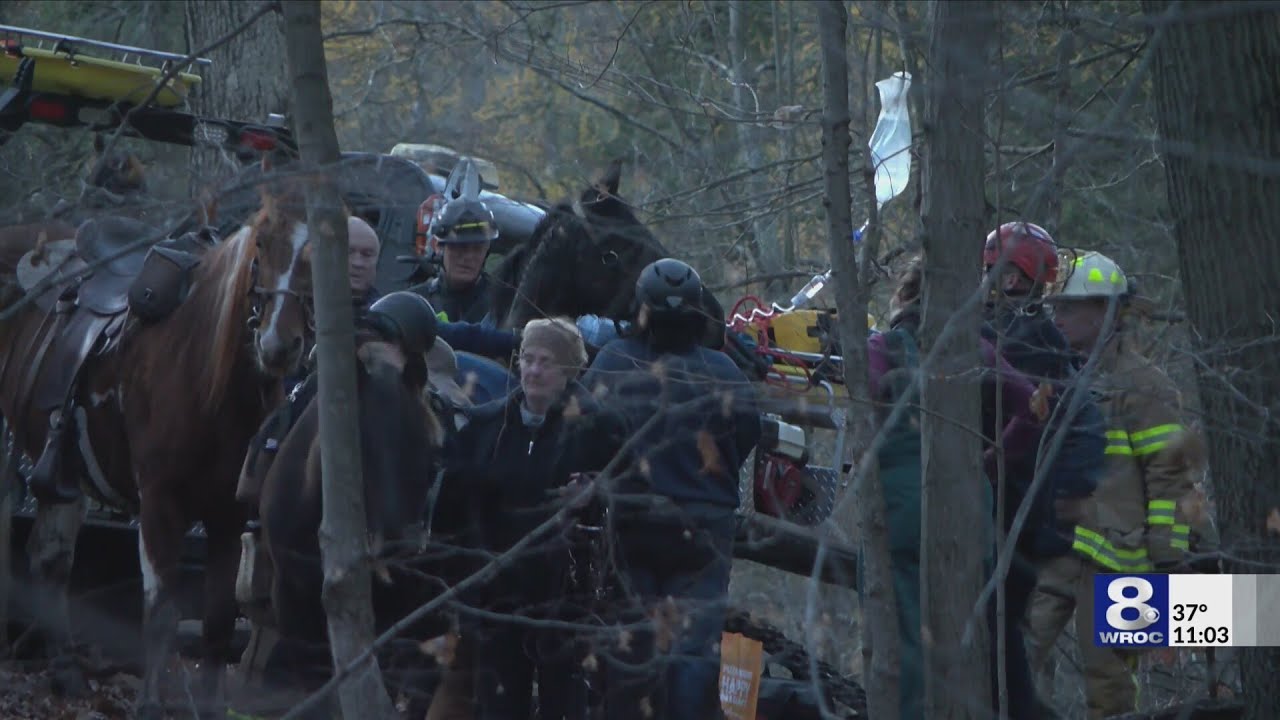 Horse rescued from mud in Mendon Ponds Park - YouTube