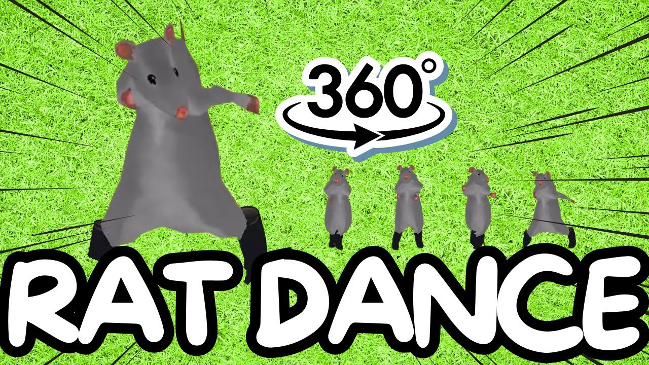 Rat dance ! | VR 360° - YouTube