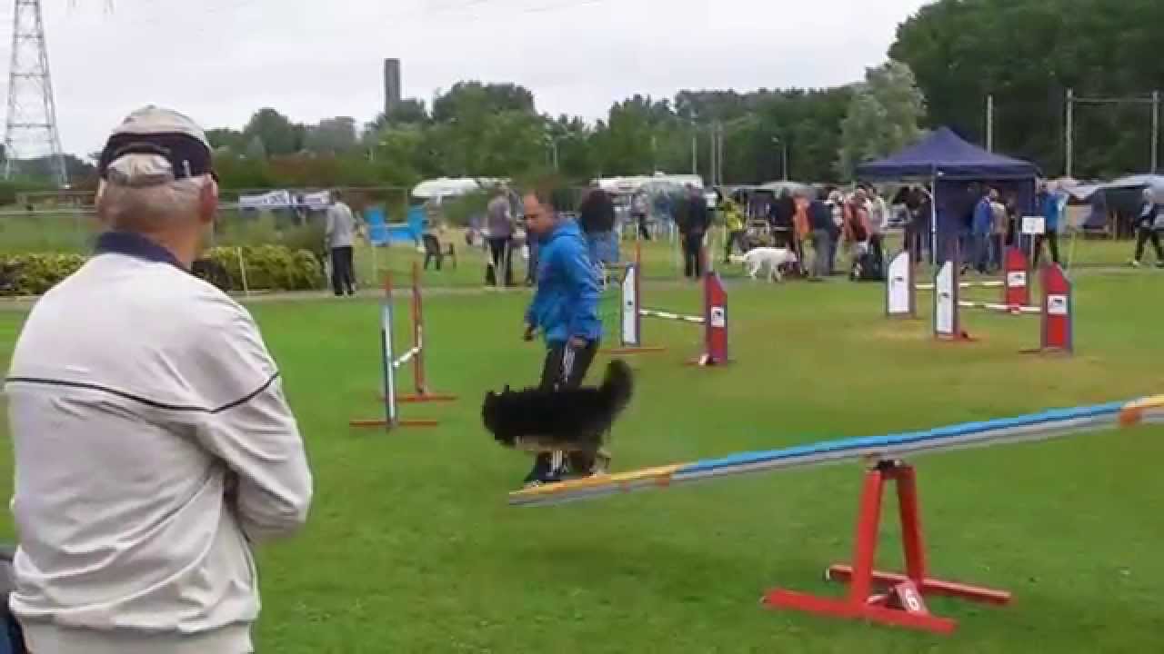 20140705 - Agility Friends bij KC Delft - Marc Valk en Ronin - vast ...