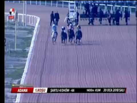 ÇELİKKALKAN ŞARTLI-4/4A 30/01/2018 ADANA