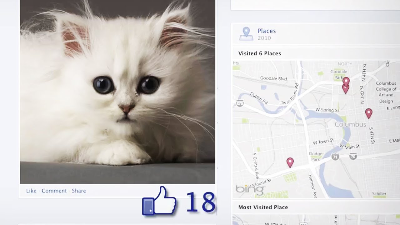 How To Share Your Cat Story on Facebook Timeline - Fancy Feast® - YouTube
