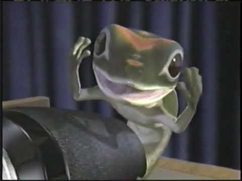 Classic Geico Gecko Ad (Japanese Version) - YouTube