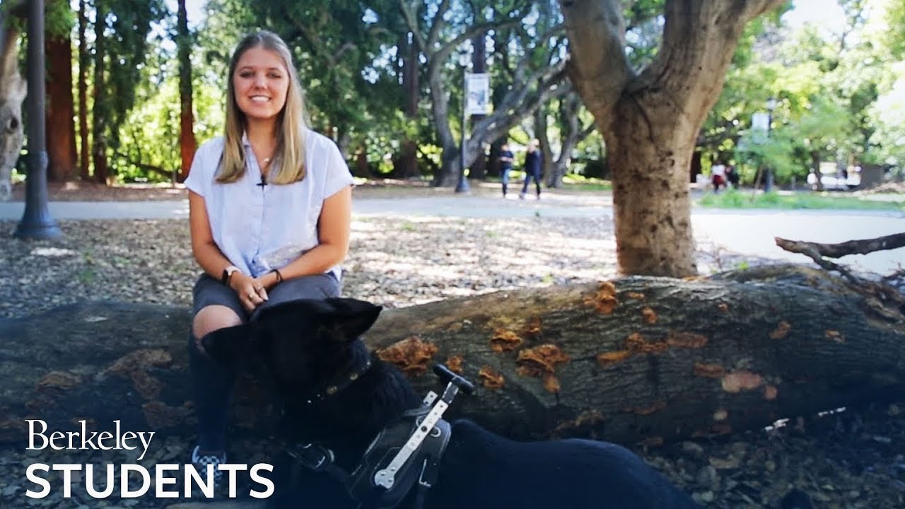 Pawsitive Pawsibilities: Service Dogs for Students - YouTube