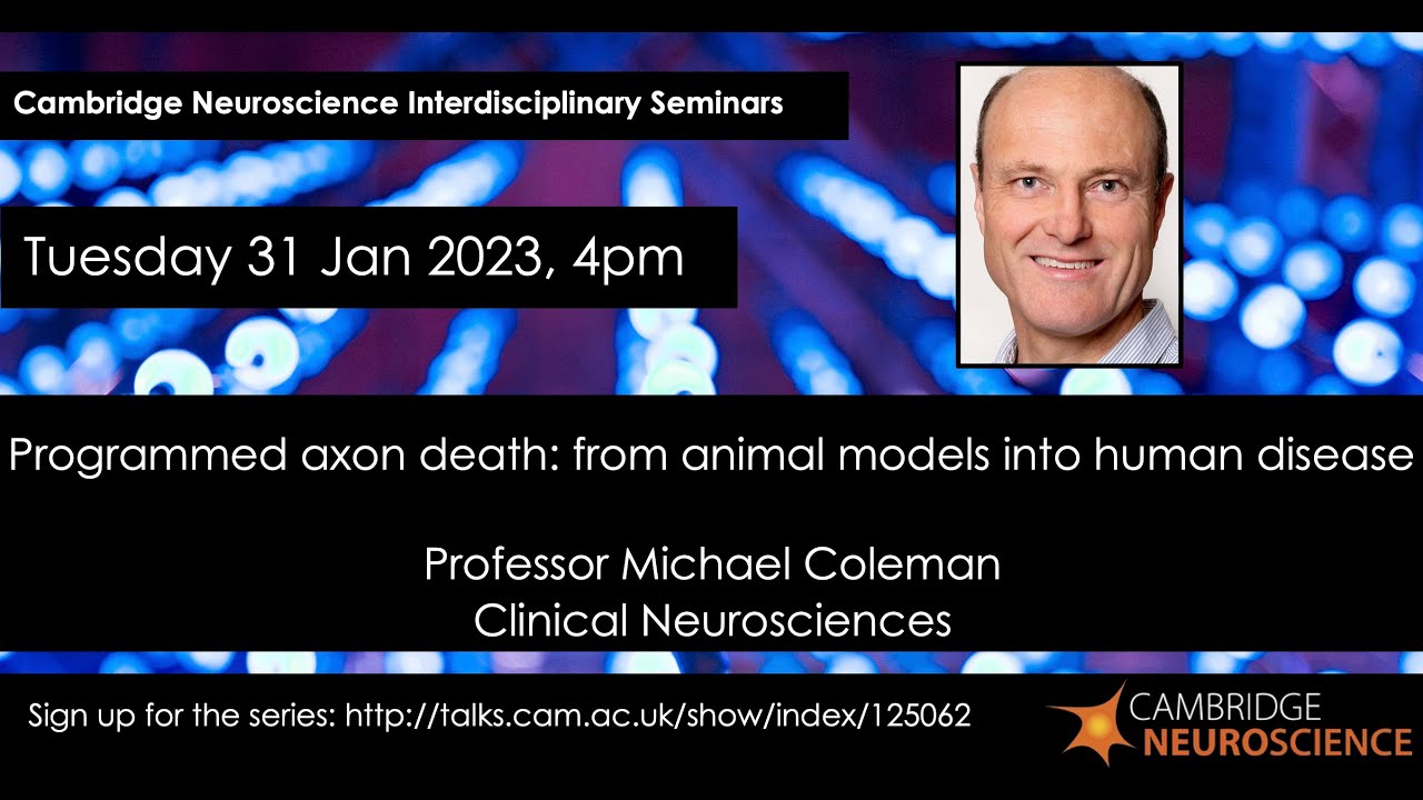 Programmed axon death: from animal models into human disease ...
