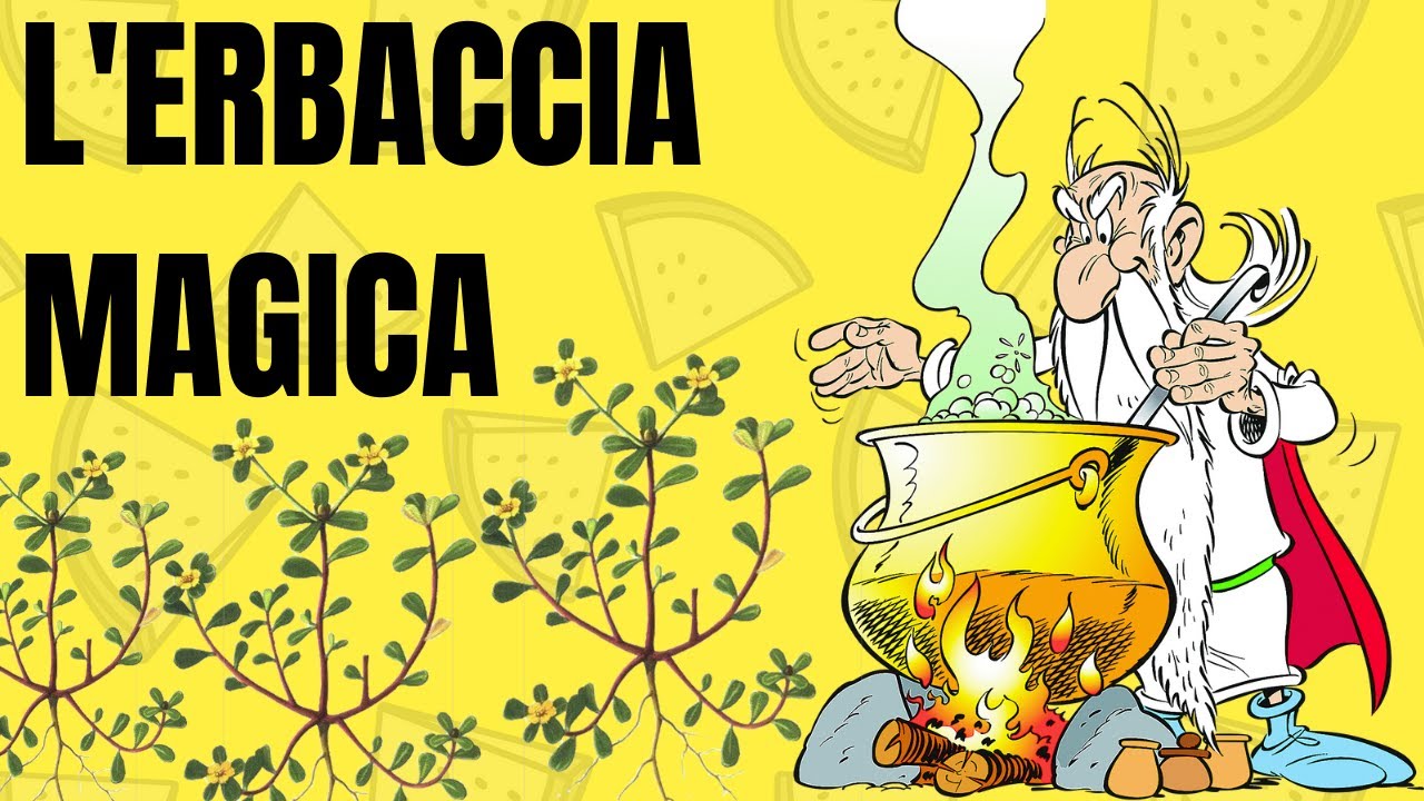 Pianta Erbaccia Cartone Animato