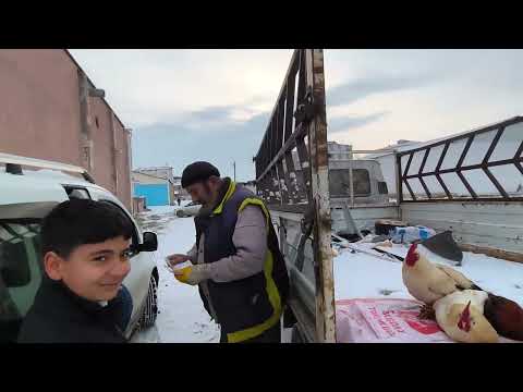 ÇORUM SUNGURLU TAVUK PAZARI 22 OCAK 2026