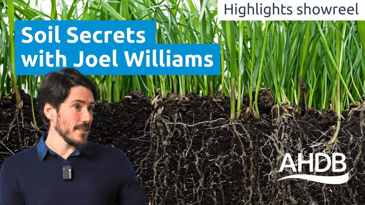 Soil Secrets with Joel Williams - Highlights Reel | AHDB - YouTube