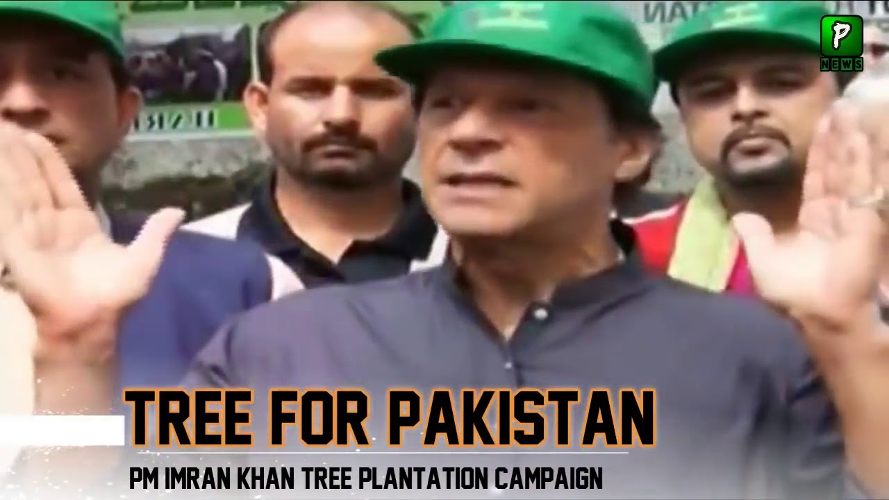 PM Imran Khan Media Talk After Tree Plantation Imran Khan Tree For ...
