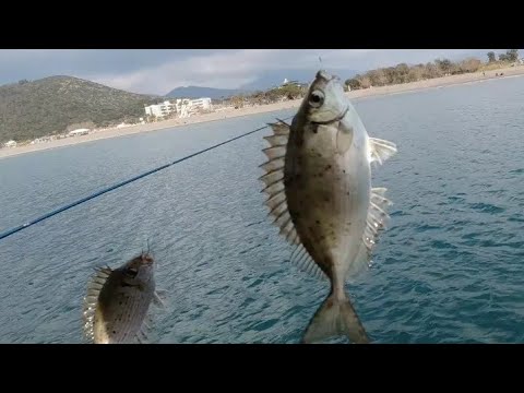 Sokar Avı / Liman İçinde Balık avı 3.Bölüm