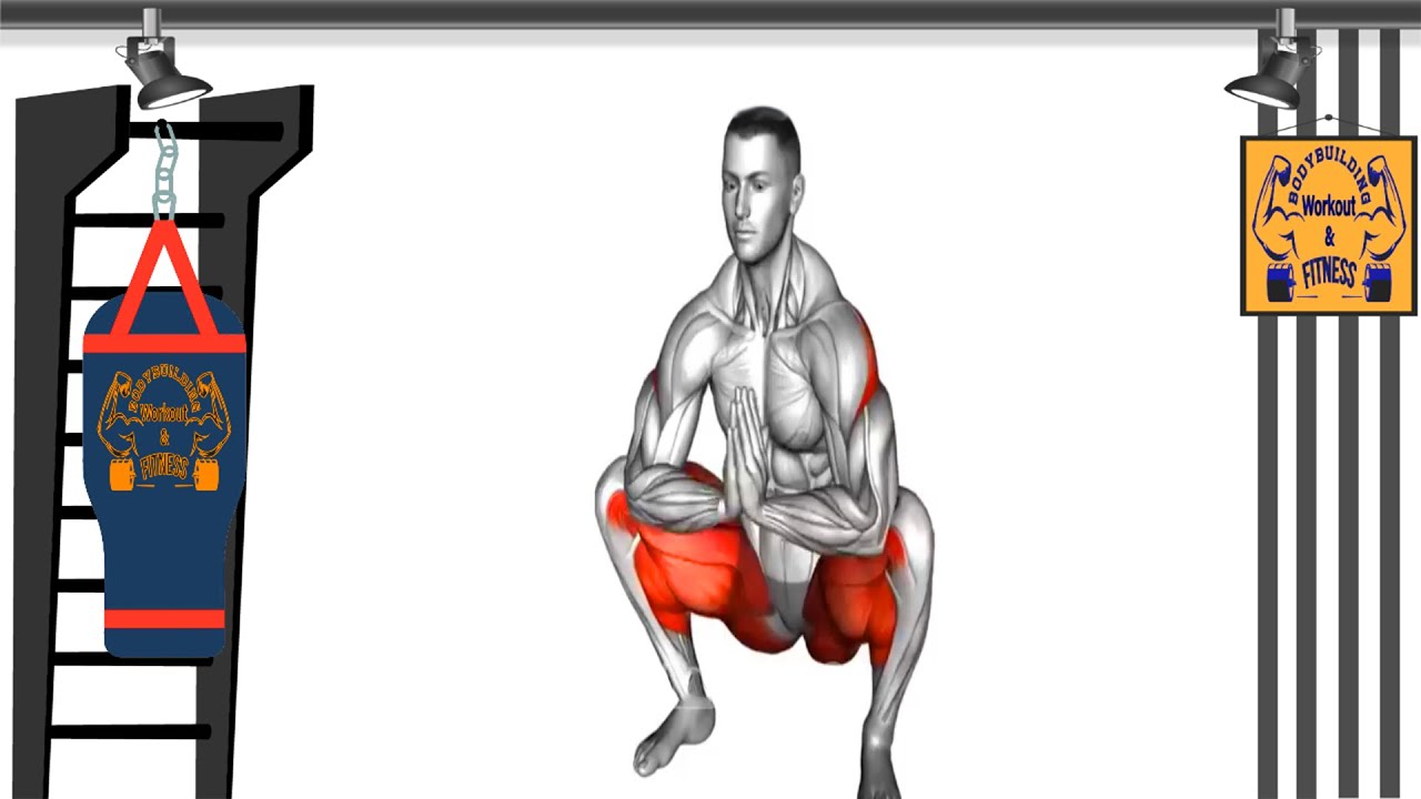 How to Increase Blood Flow on Pelvic Floor | The Best Exercises for ...