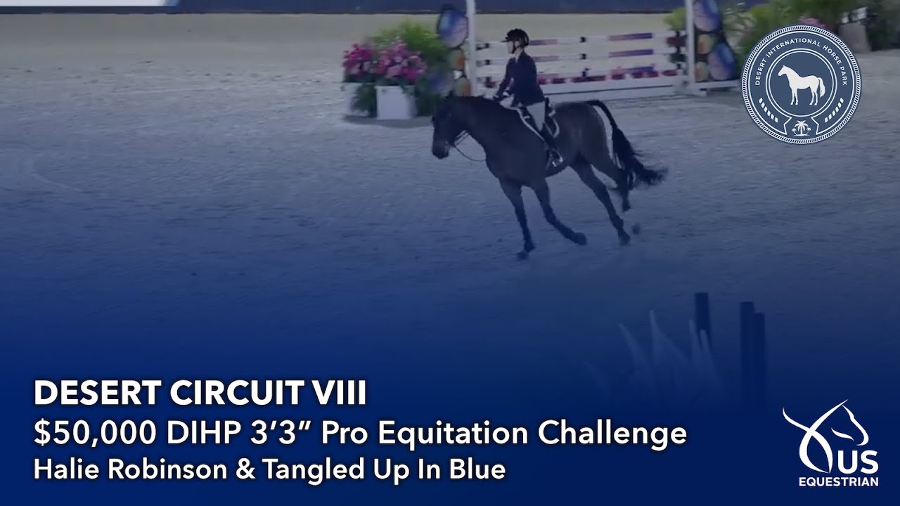Halie Robinson and Tangled Up In Blue | $50,000 DIHP Pro Equitation ...