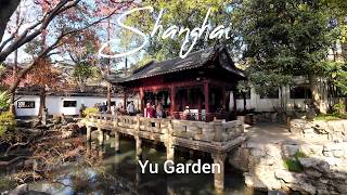 Shanghai Yu Garden 4K| Explore China's Famous 450-Year-Old Classical Garden