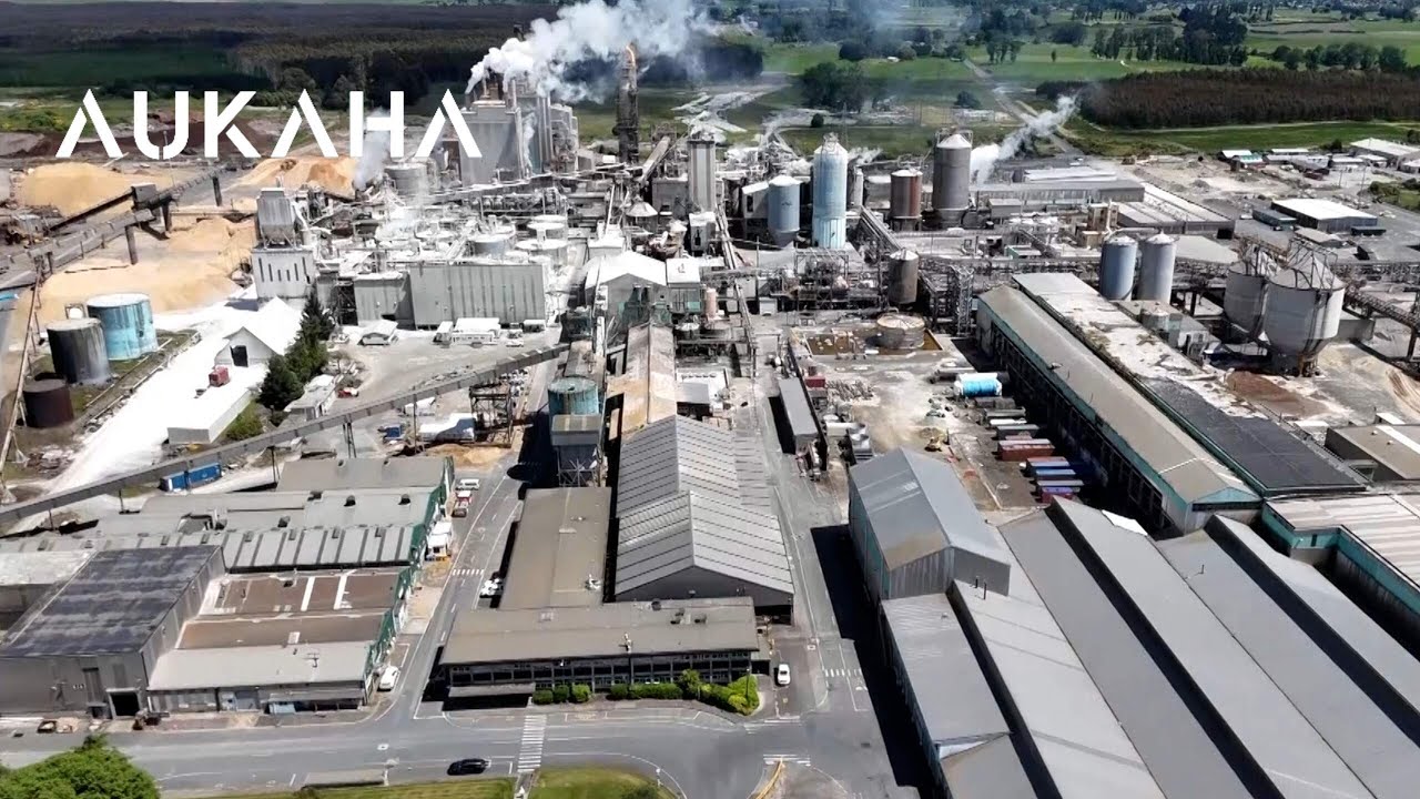 Kinleith Mill job losses to hit Tokoroa whānau hard this Christmas ...