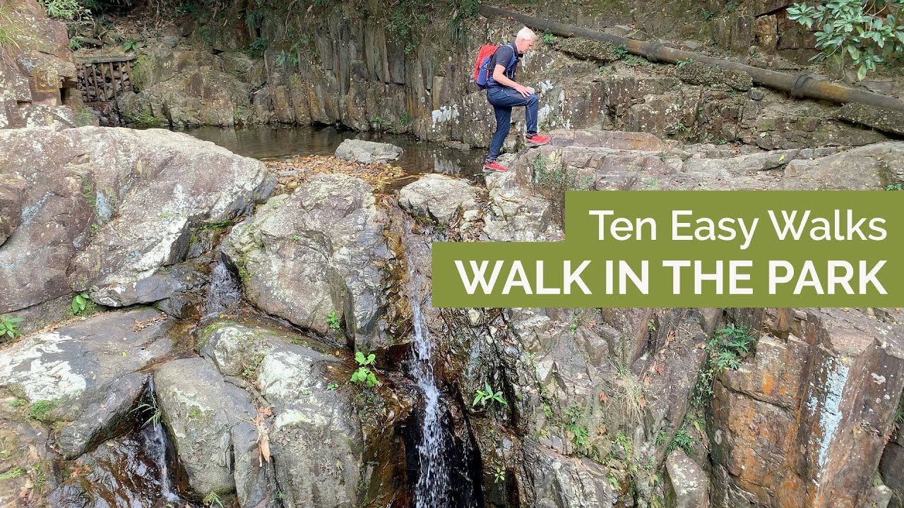 A Walk in the Park ｜10 Easy Hong Kong Walks - YouTube