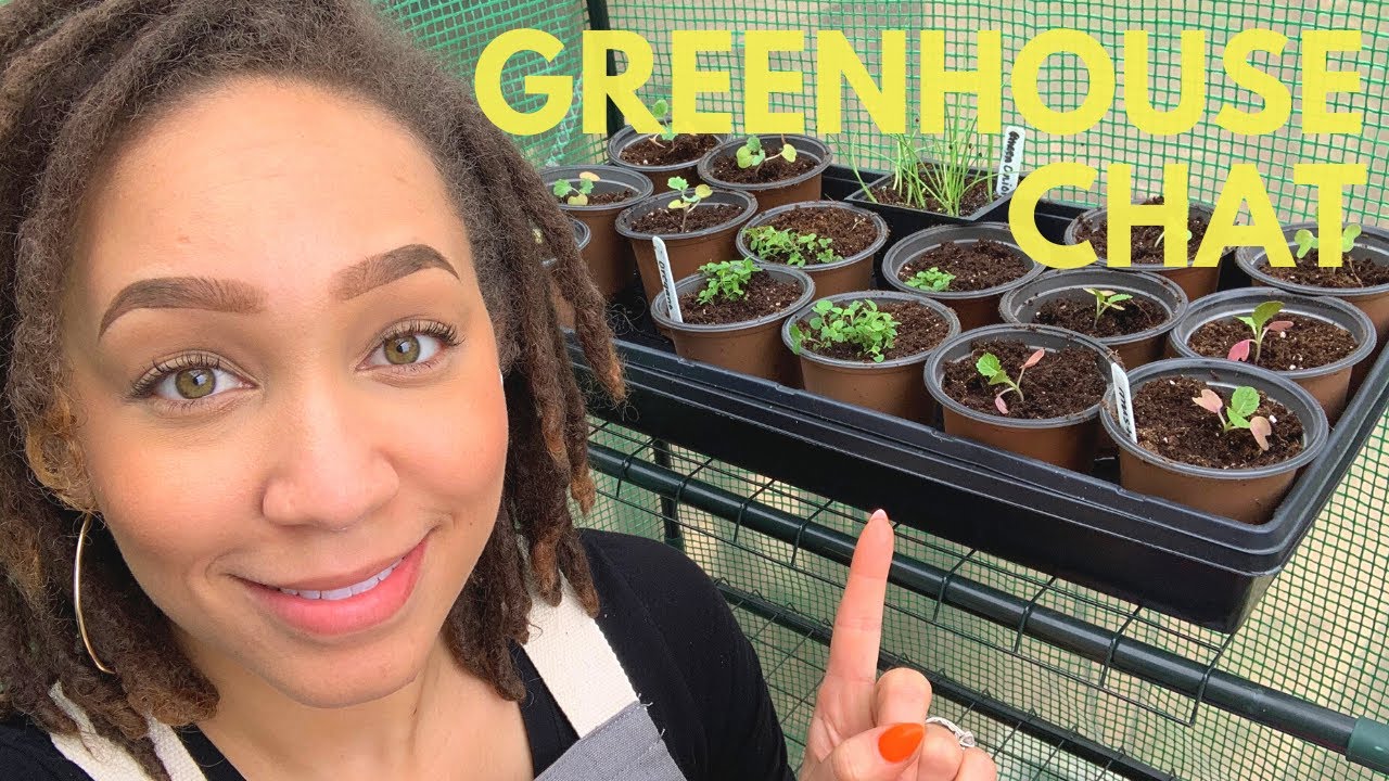 Greenhouse Chat | Spring Crops - YouTube