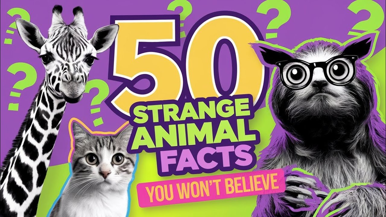 50 Animal Facts So Strange You Won't Believe They're True! - YouTube