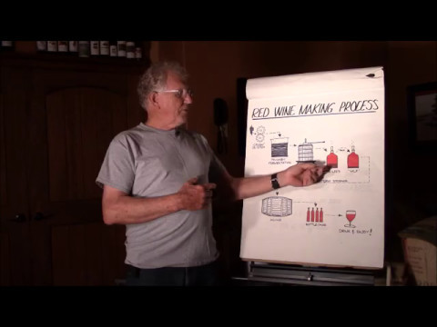 Home Winemaking 101 with Bill Sisler - YouTube