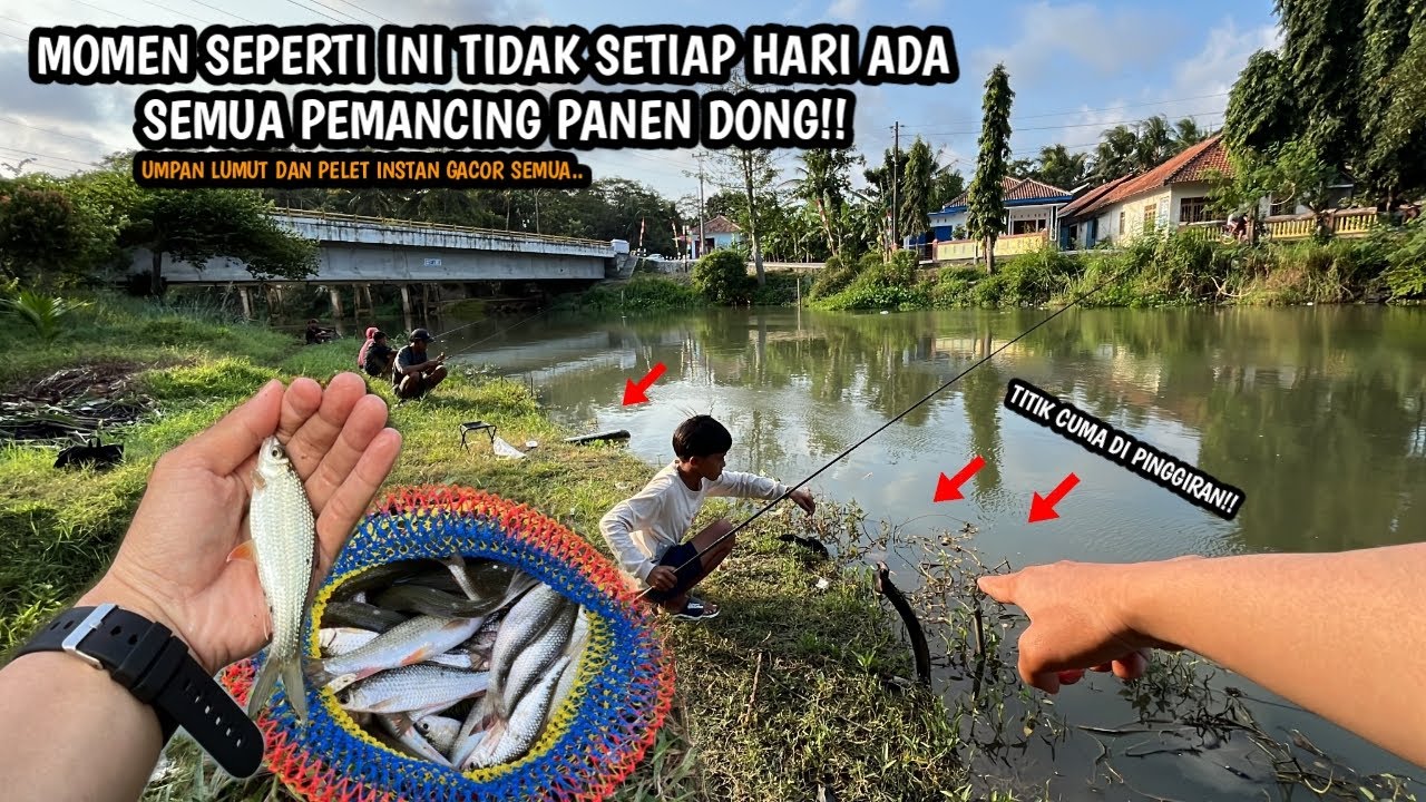 SEMUA PEMANCING PANEN IKAN CUMA DIPINGGIRAN!!Mancing wader teknik ...