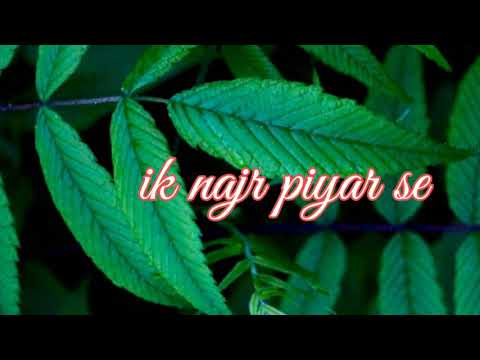 Most beautiful status😍😘😘 - YouTube