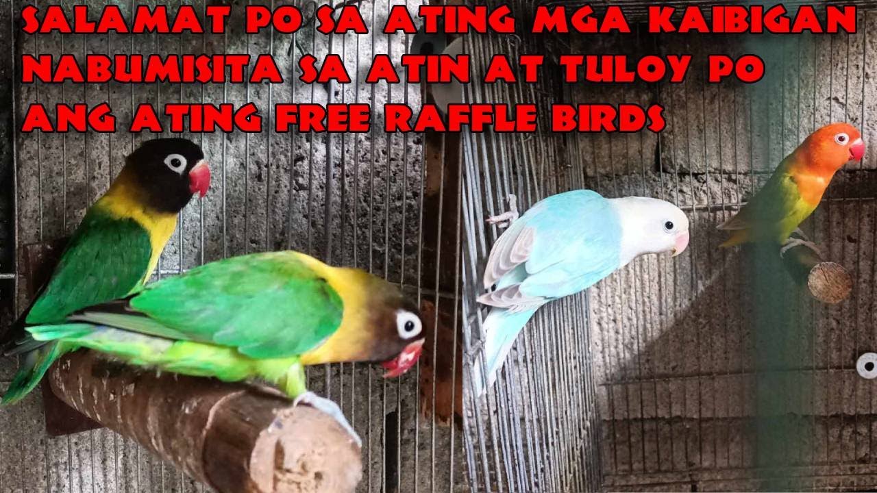 Mga kaibigan natin binisita tayo | Raffle Update na din tayo # ...