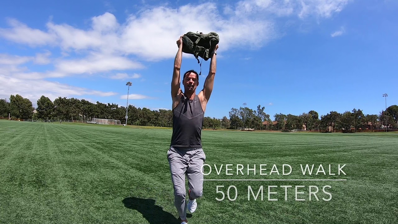 WILDLIFE WORKOUT - YouTube