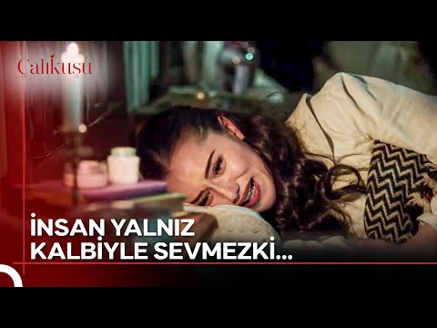 Ne Senden Gidebiliyorum, Ne De Sana Gelebiliyorum... | Çalıkuşu
