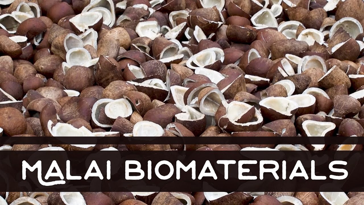 Malai biomaterials // video by Petra Kopásková - YouTube