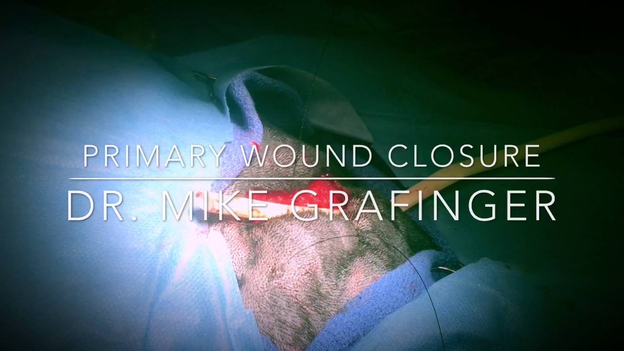 Primary Wound Closure - YouTube