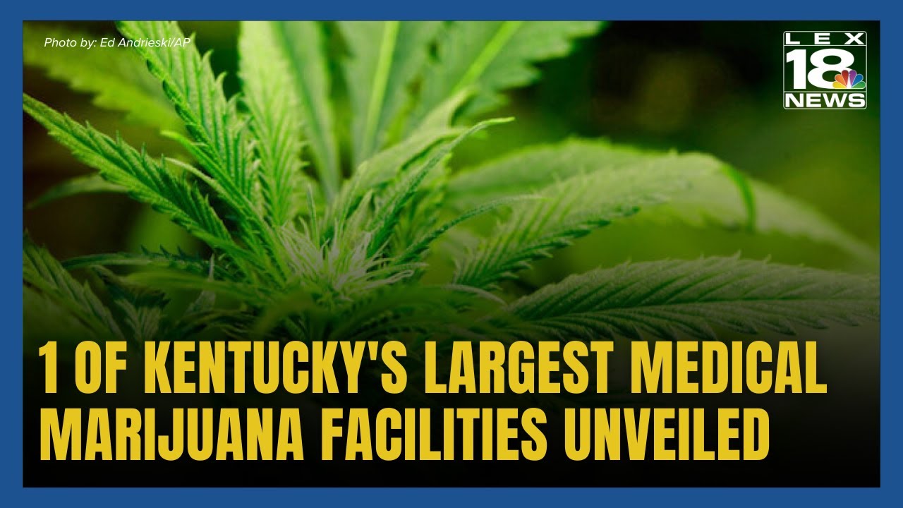 KY Unveils New Medical Marijuana Facility - YouTube