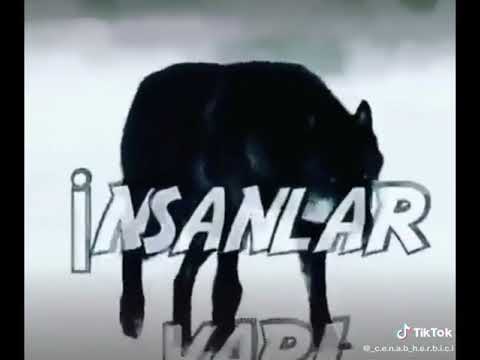 TİK TOK CANAVAR