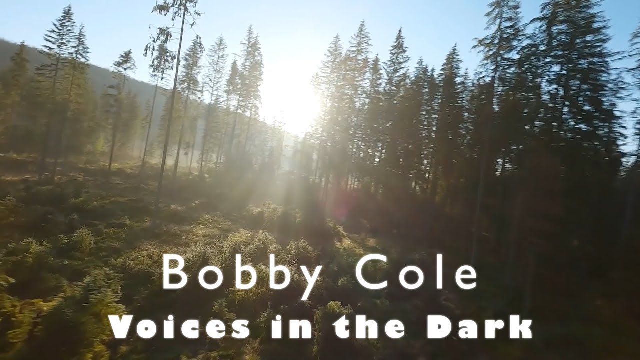 Bobby Cole - Voices in the Dark - epic relaxation music - Mind Drifter ...
