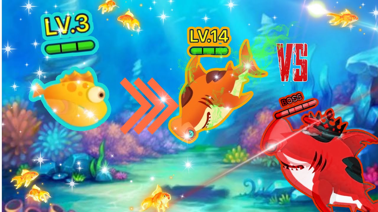 Ocean Fish Evolution Level 3 to Level 14 vs BOSS [Game Play] - YouTube