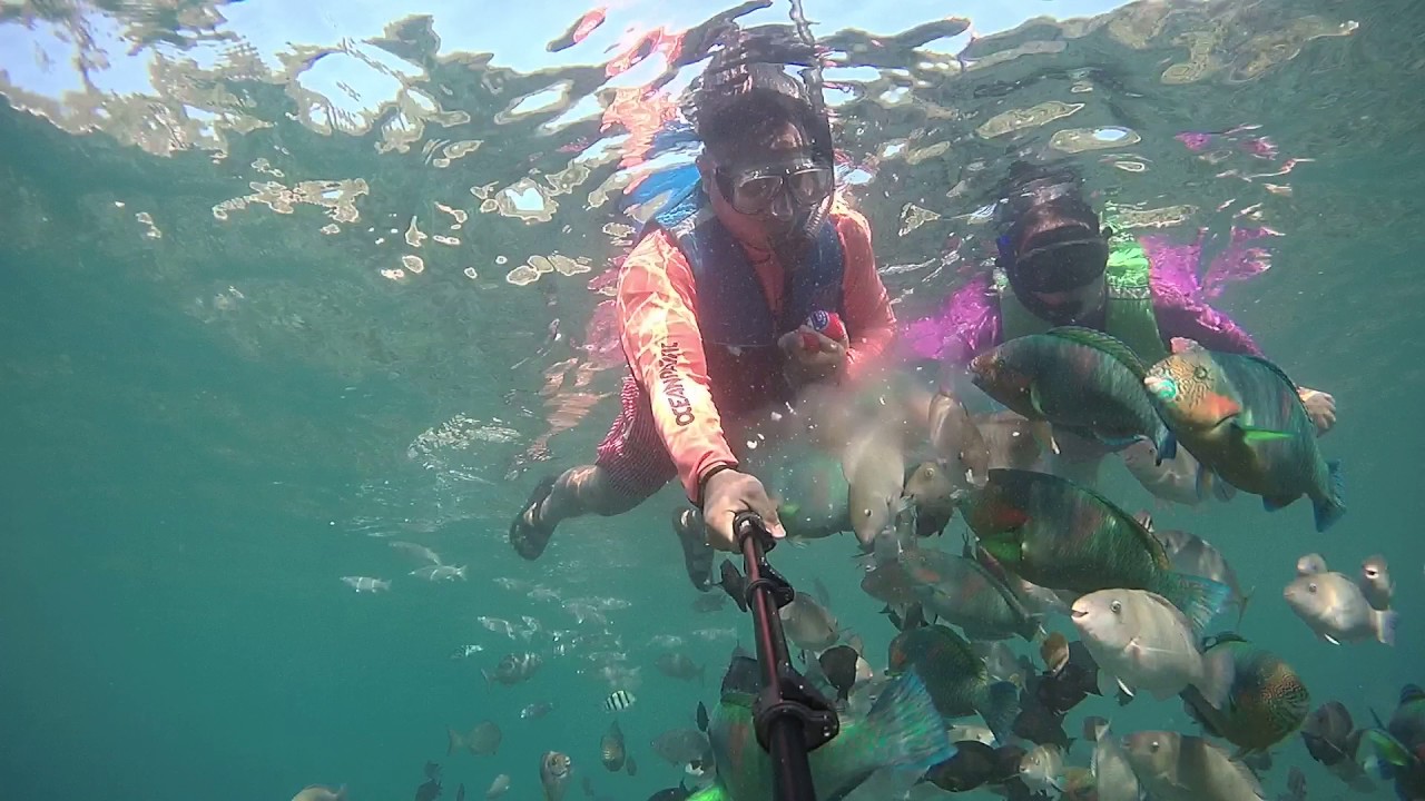 Snorkeling at Binukbok View Point 3 - YouTube