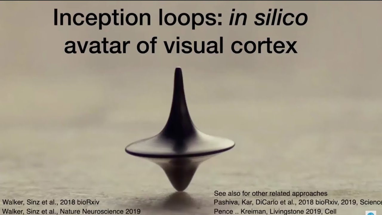 Inception Loops in Vision with Dr. Andreas Tolias | Webinar - YouTube