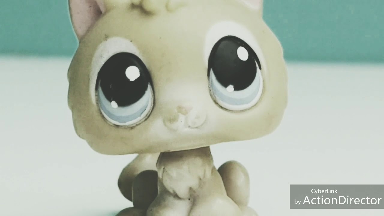 Teddy Bear || LPS MV || - YouTube